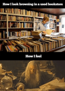 40+ Awesome Book Memes for Authors and Readers