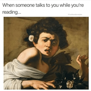 40+ Awesome Book Memes for Authors and Readers
