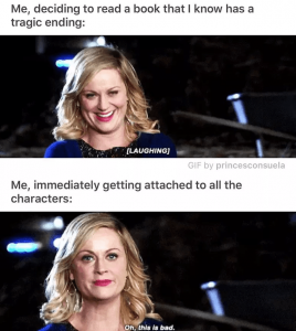 40+ Awesome Book Memes for Authors and Readers