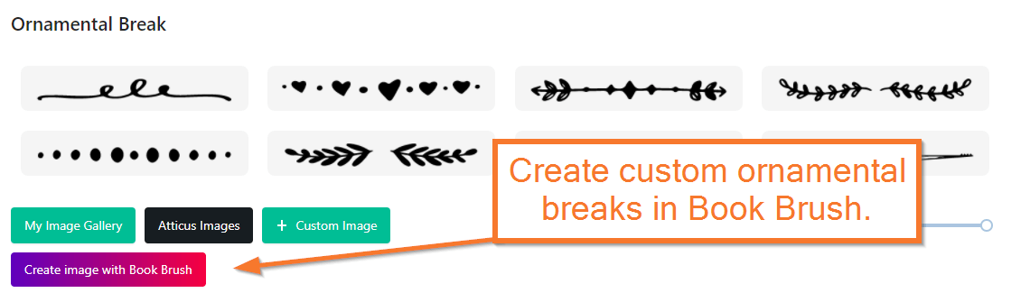 Book Brush Review: Don't Try Them Until You Read This!