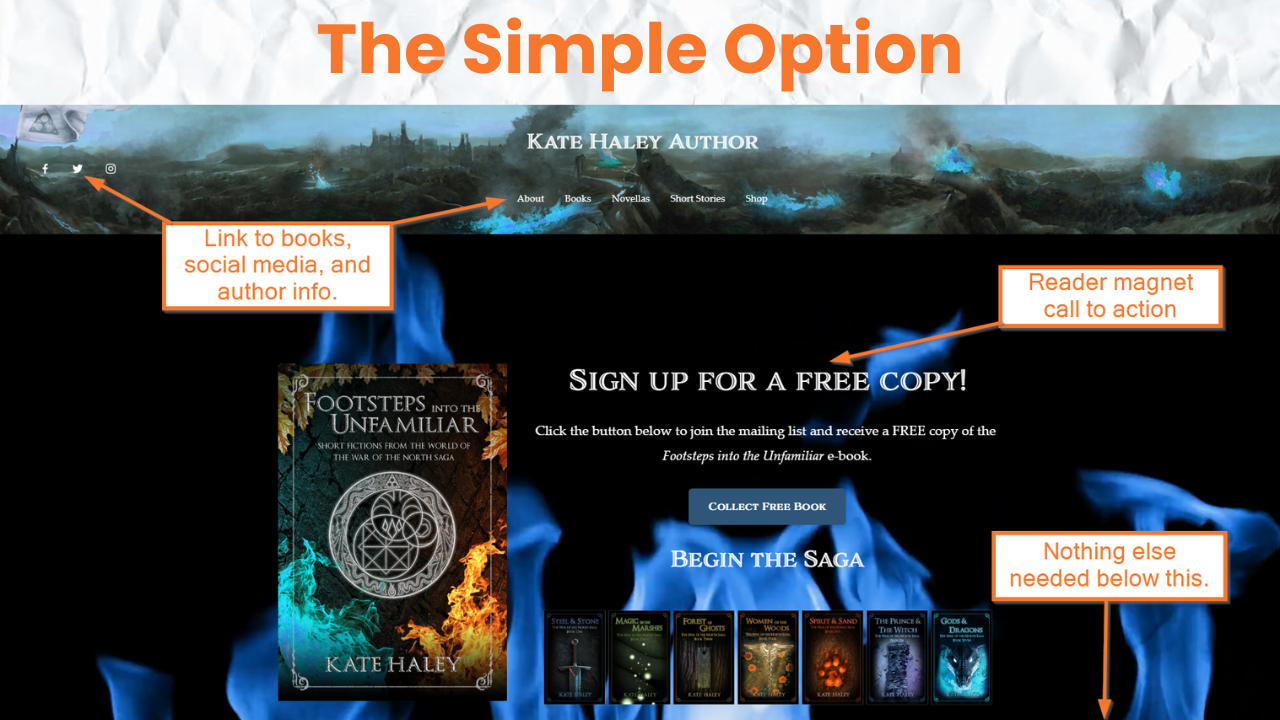 Author Website: Your 3 Best Options for a Book-selling Website
