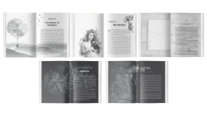 How to Design Beautiful Chapter Themes for Your Books | Kindlepreneur